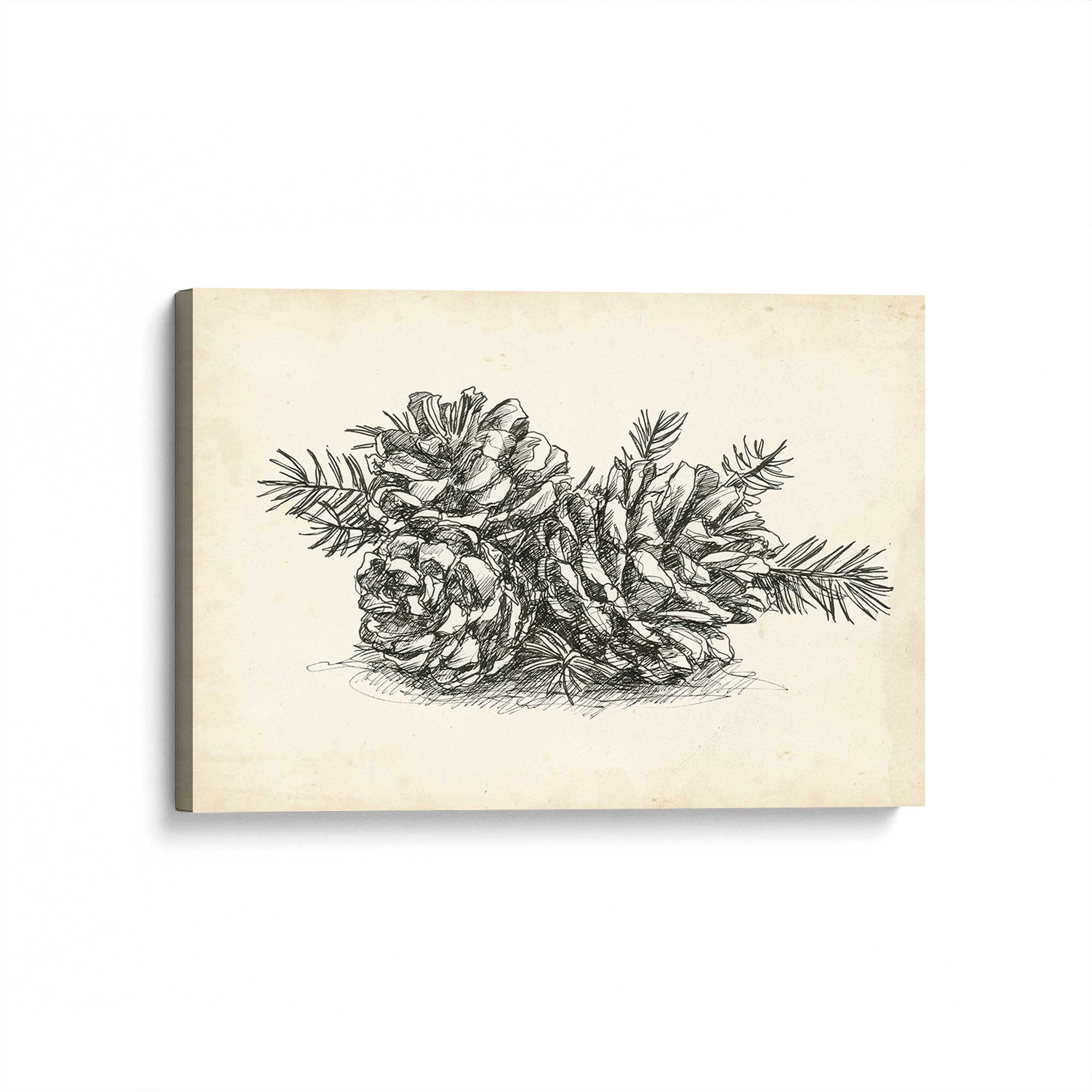 Ophelia & Co. Christmas Conifers II by Ethan Harper Canvas Art Print ...
