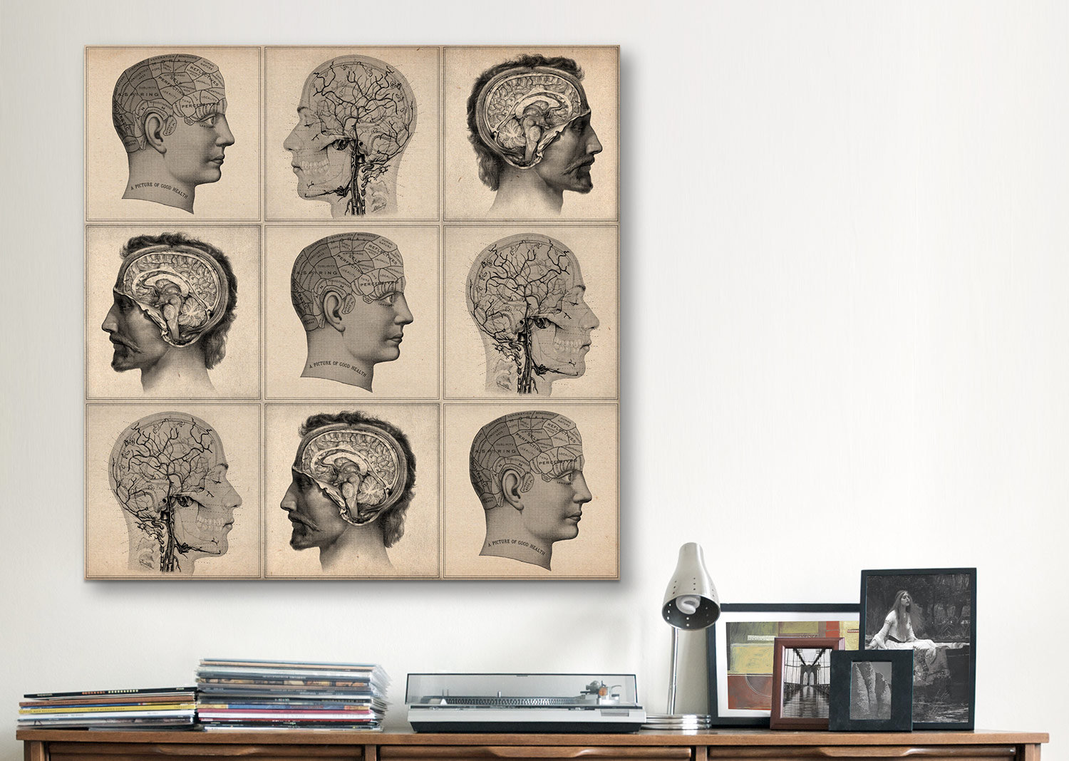 iCanvas Cartography Human Head Anatomy Collage Graphic Art on Canvas ...