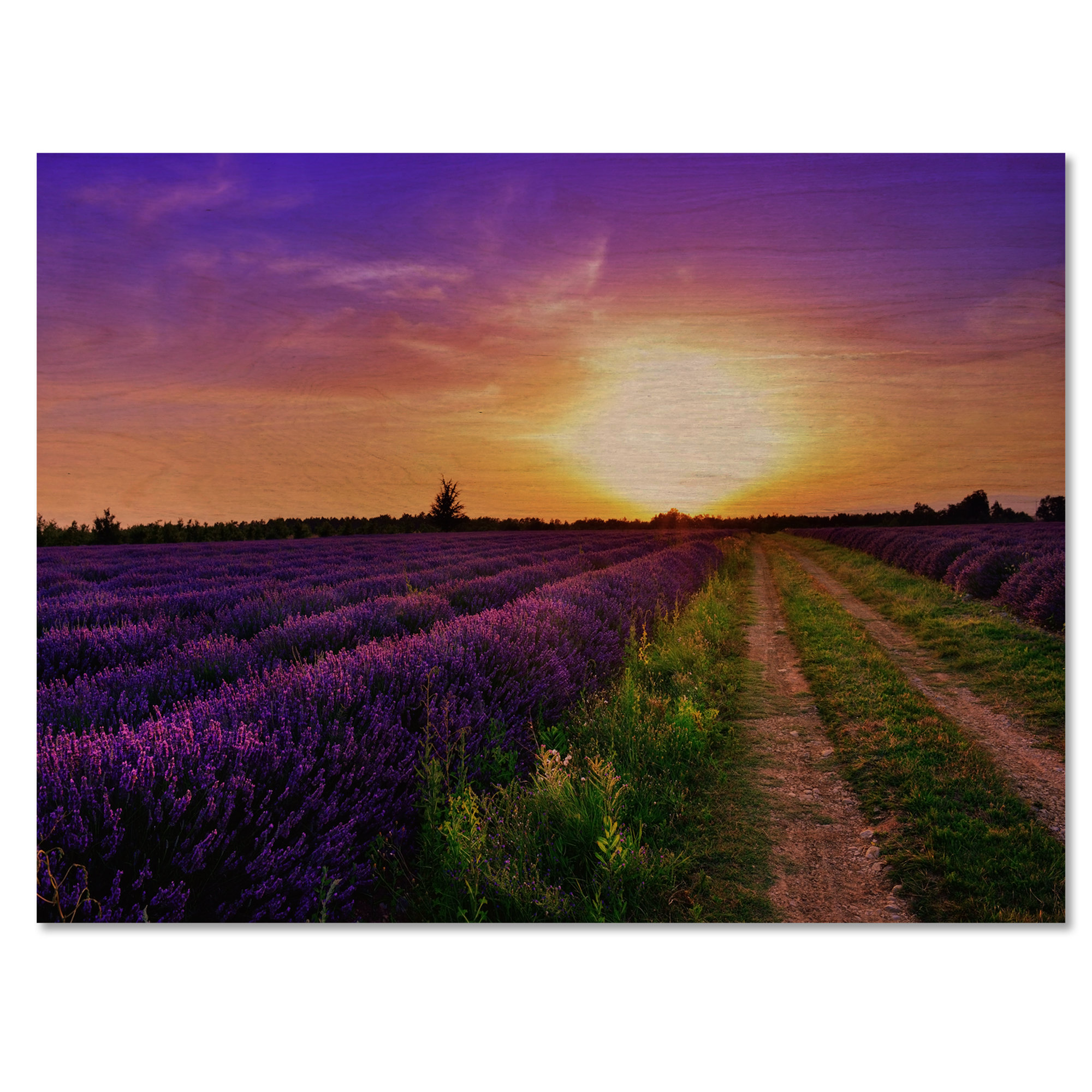 Ophelia & Co. Lavender Field at Dawn II - Unframed Painting on Wood ...