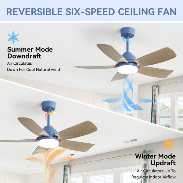 Ebern Designs 42" 5 ABS Blade Modern Dark Blue Ceiling Fan With Light ...