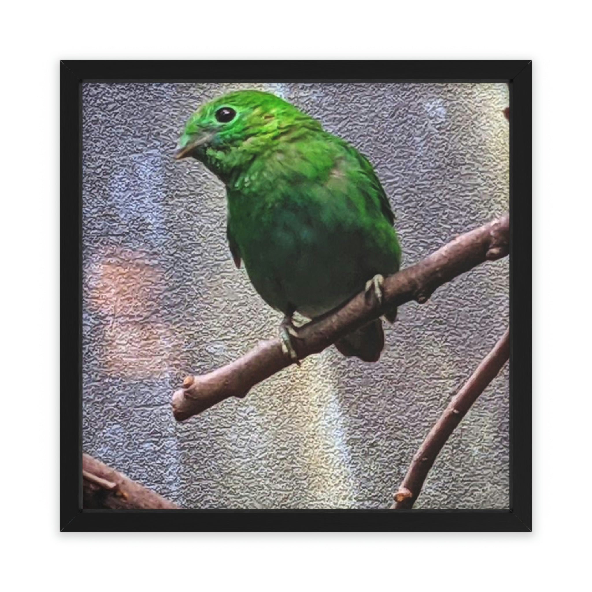 Latitude Run® Green Bird - Picture Frame Illustration | Wayfair