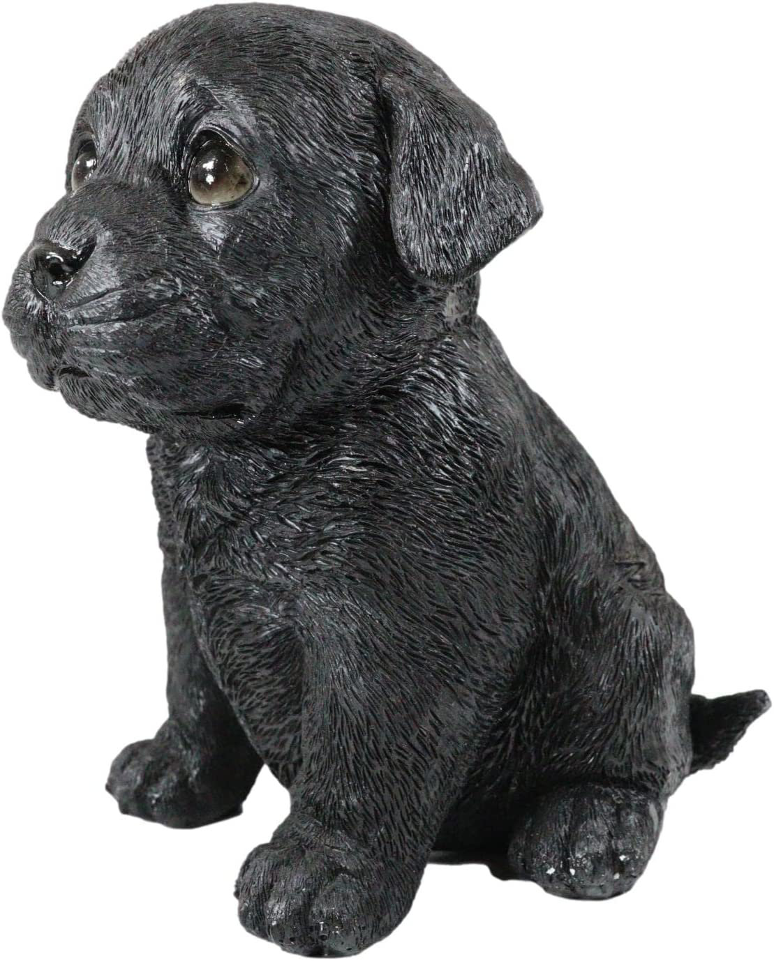 Red Barrel Studio® Realistic Adorable Black Labrador Retriever Puppy ...