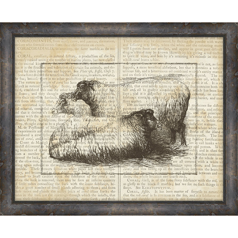 Melissa Van Hise 'Sheep on Writing' Framed Graphic Art Print - Wayfair ...