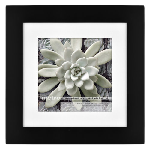 Square Picture Frames You'll Love | Wayfair