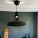 Lucide Brassy-Bis 1 - Light Dome Pendant & Reviews | Wayfair.co.uk