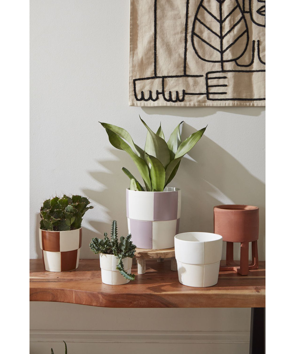 AllModern Caitlin Checkerboard Ceramic Pot Planter | Wayfair