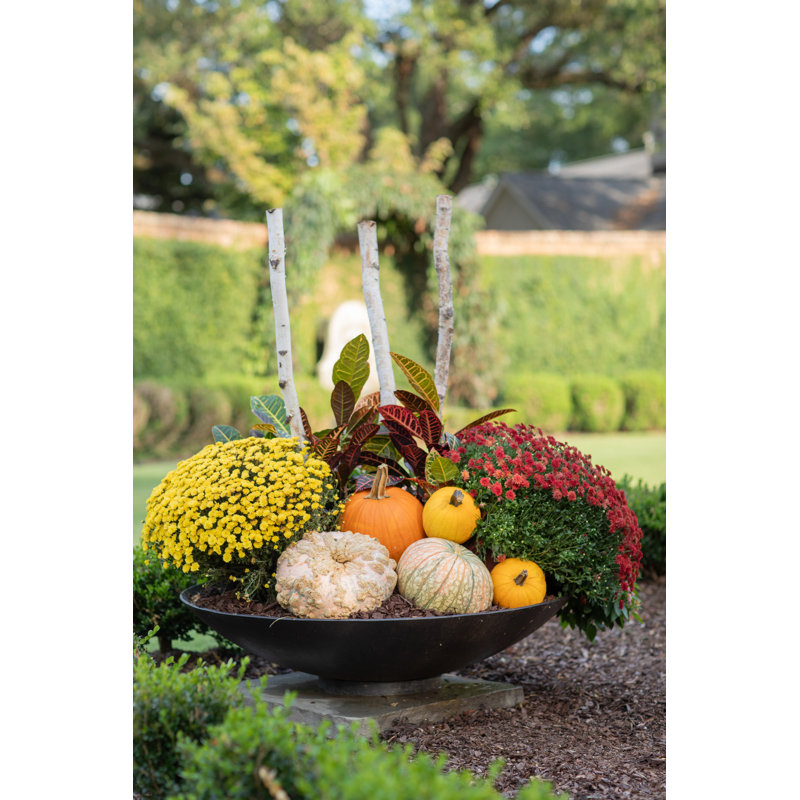 Red Barrel Studio® Wilmarie 42" Natural Rust Pantina Round Planter ...