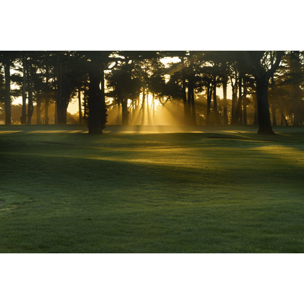 Union Rustic Sunrise in Misty Golf Course by Spondylolithesis | Wayfair