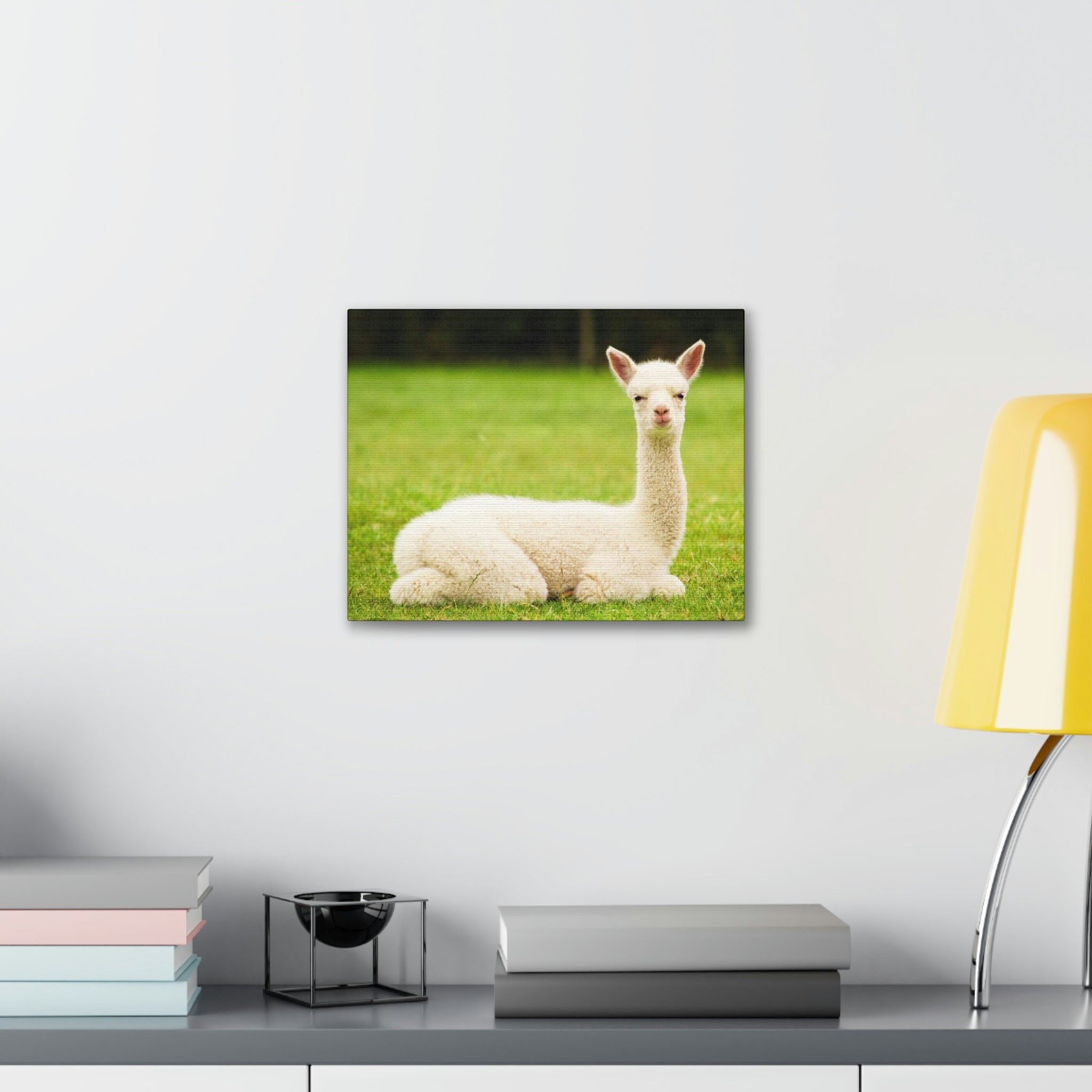 Latitude Run® Majestic Alpaca Art Majestic Alpaca Print Animal Wall Art ...