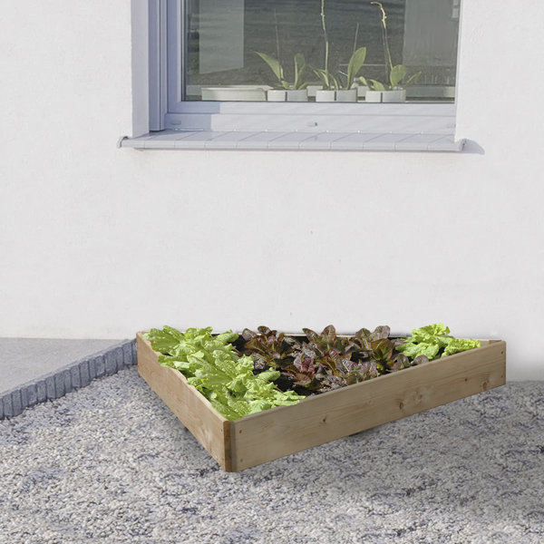 Freeport Park Albus Triangular Raised Bed - 120cm each side, Height ...