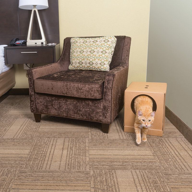 PetSafe® Disposable Standard Litter Box & Reviews | Wayfair