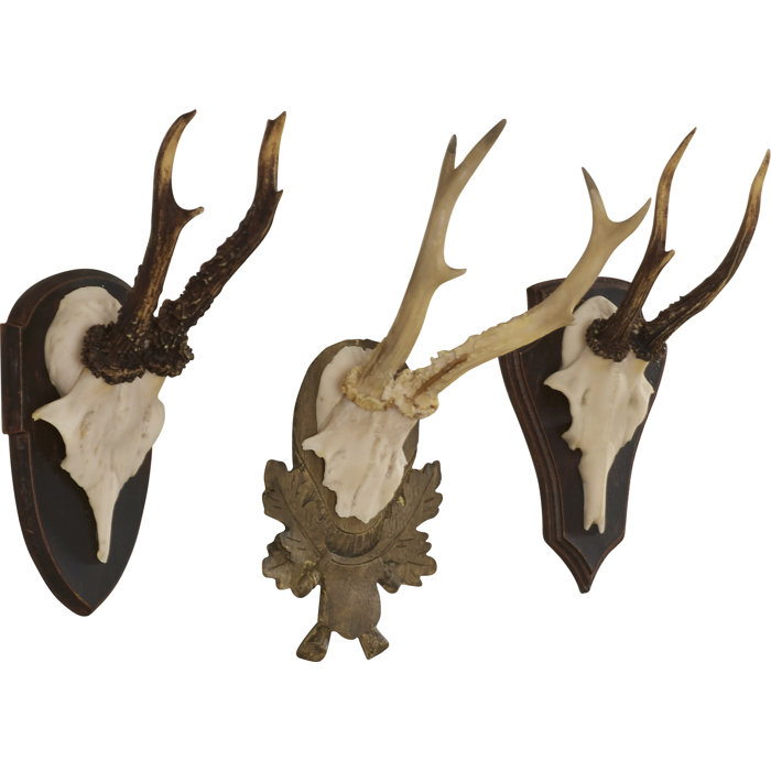 Millwood Pines Rustic Animals Wall Decor on Resin & Reviews | Wayfair