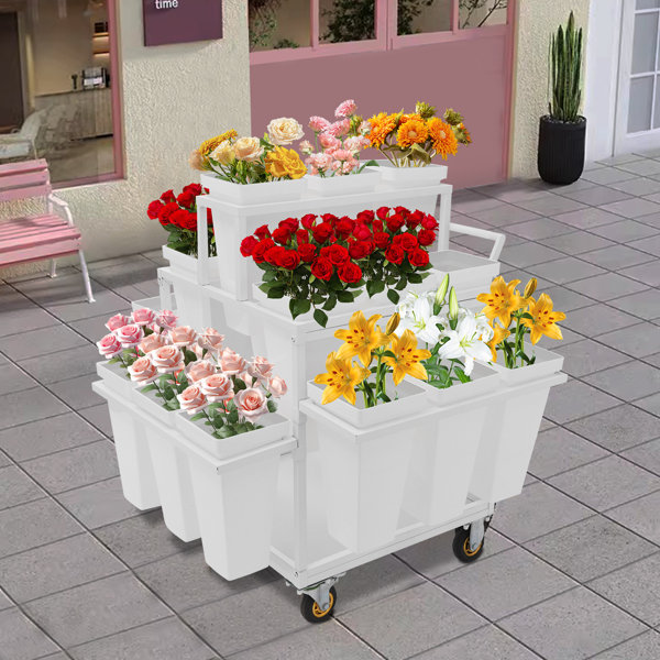 Arlmont & Co. Teman 4-Tier Rolling Flower Display Plant Rack Stand with ...