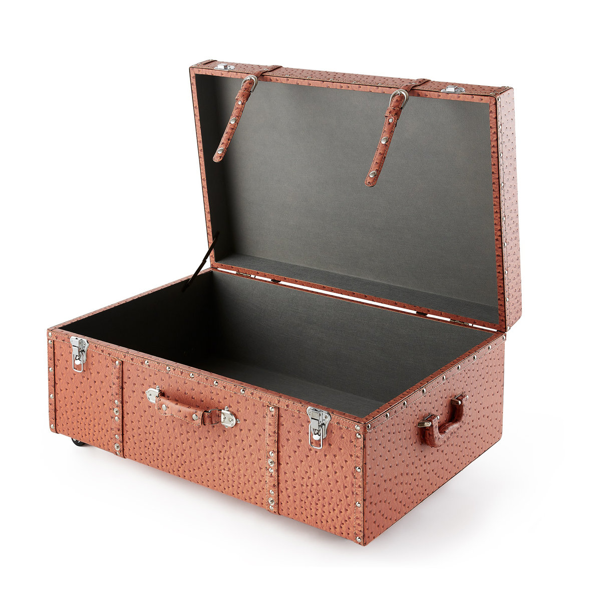 DormCo Texture Brand Trunk - Vibrant Aqua Ostrich | Wayfair