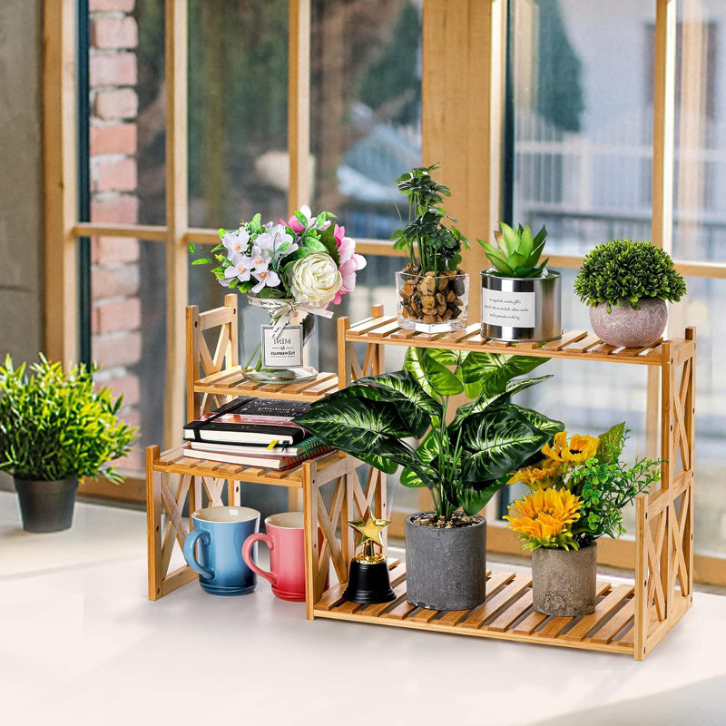 Arlmont & Co. 2 Tier Bamboo Tabletop Plant Stand | Wayfair