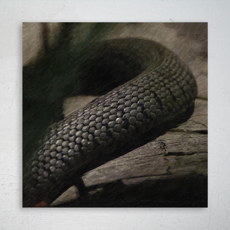 Latitude Run® " Grayscale Photo Of A Snake'S Body " Painting Print on ...