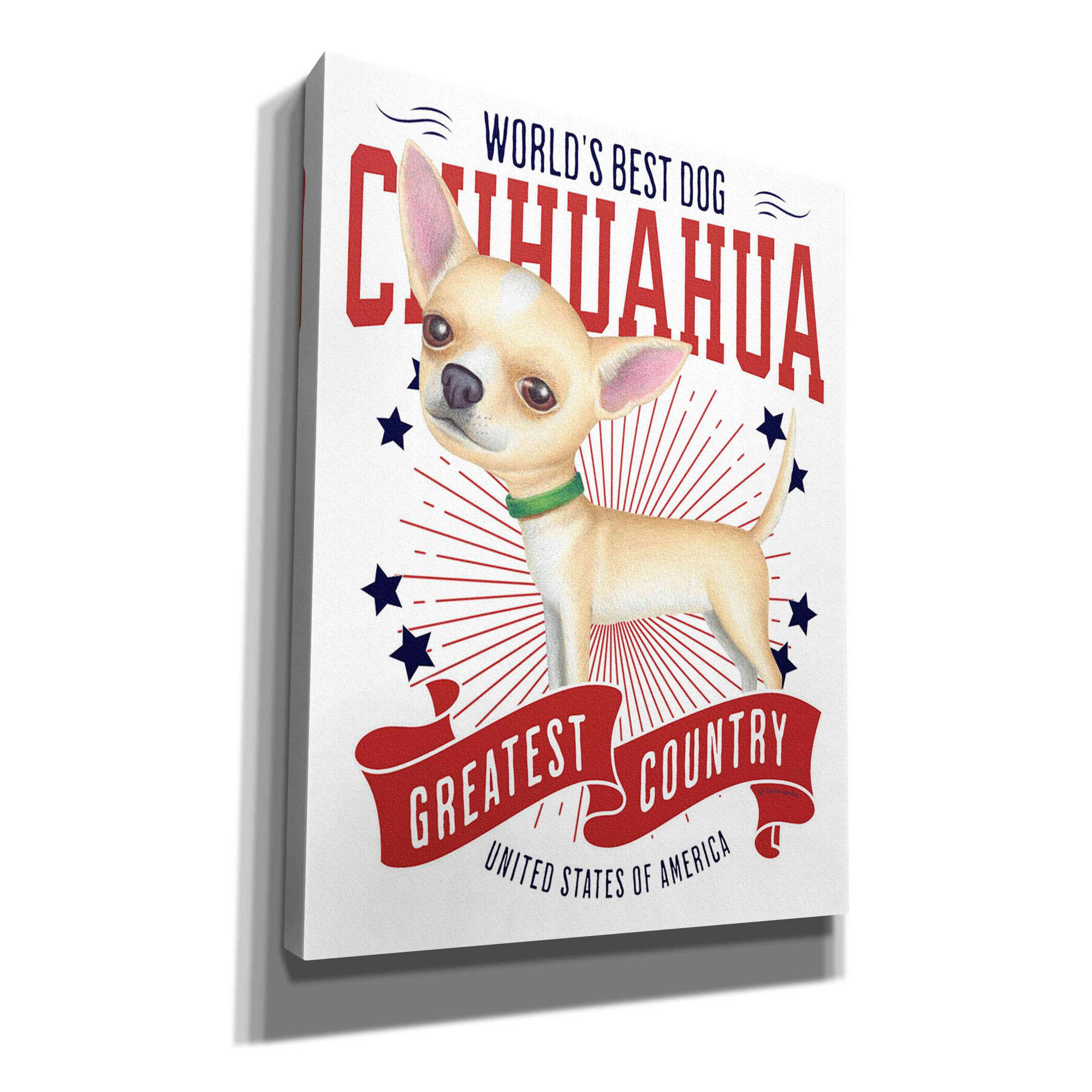 Trinx 'Frankie USA' By Danny Gordon Art - Wayfair Canada