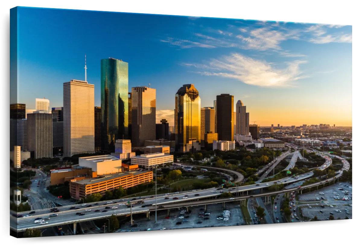 Elephant Stock Houston Skyline At Sunset | Wayfair