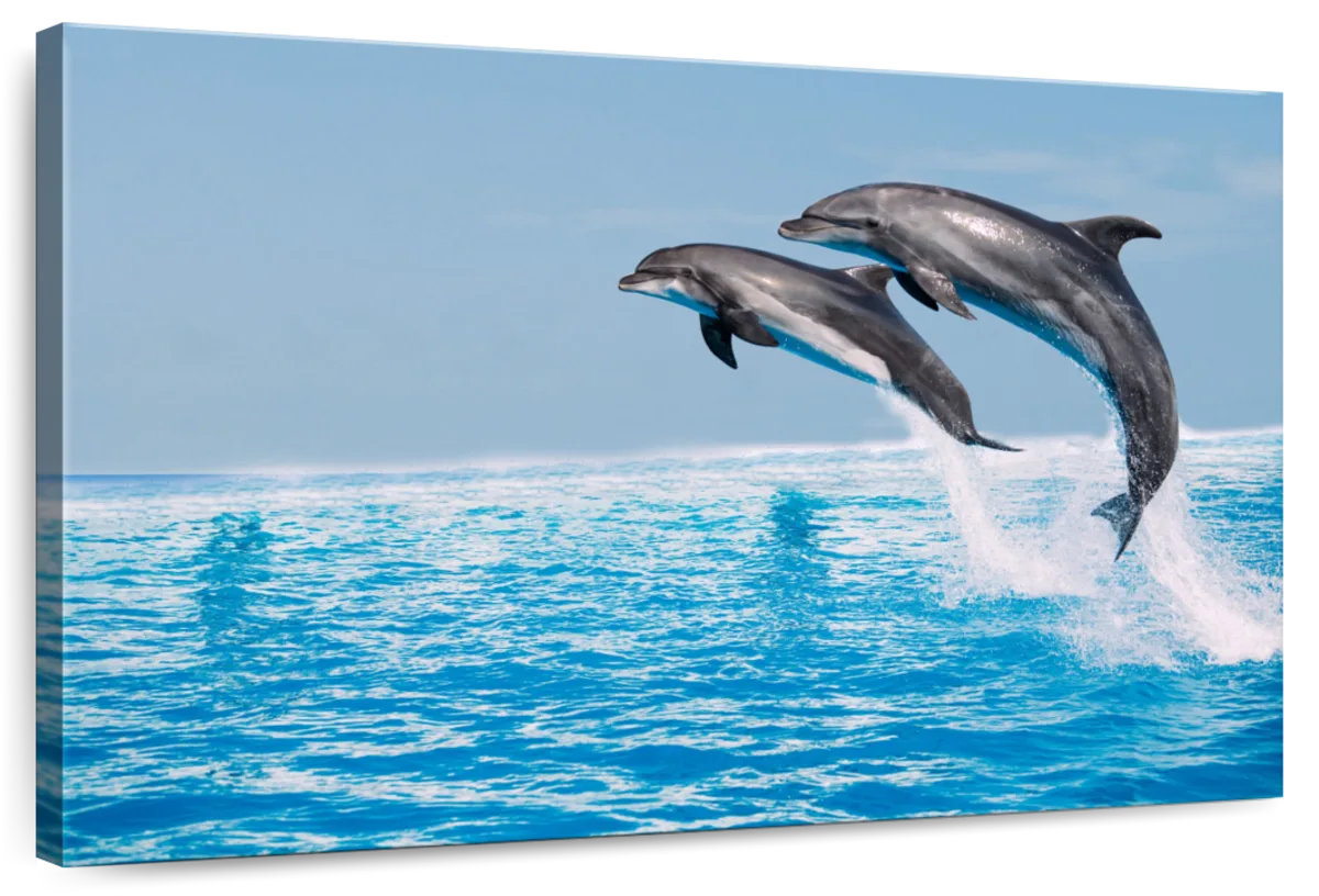 Ebern Designs Brampt Two Leaping Dolphins | Wayfair