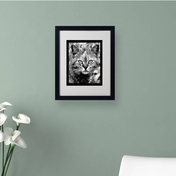 Latitude Run® Beveled Edge Picture Frame & Reviews | Wayfair