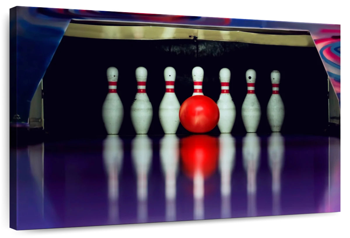 Elephant Stock Bowling | Wayfair