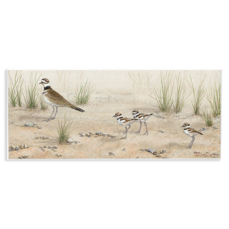 Dakota Fields Kildeer Birds Stepping Wall Plaque Art by Valerie Rogers ...