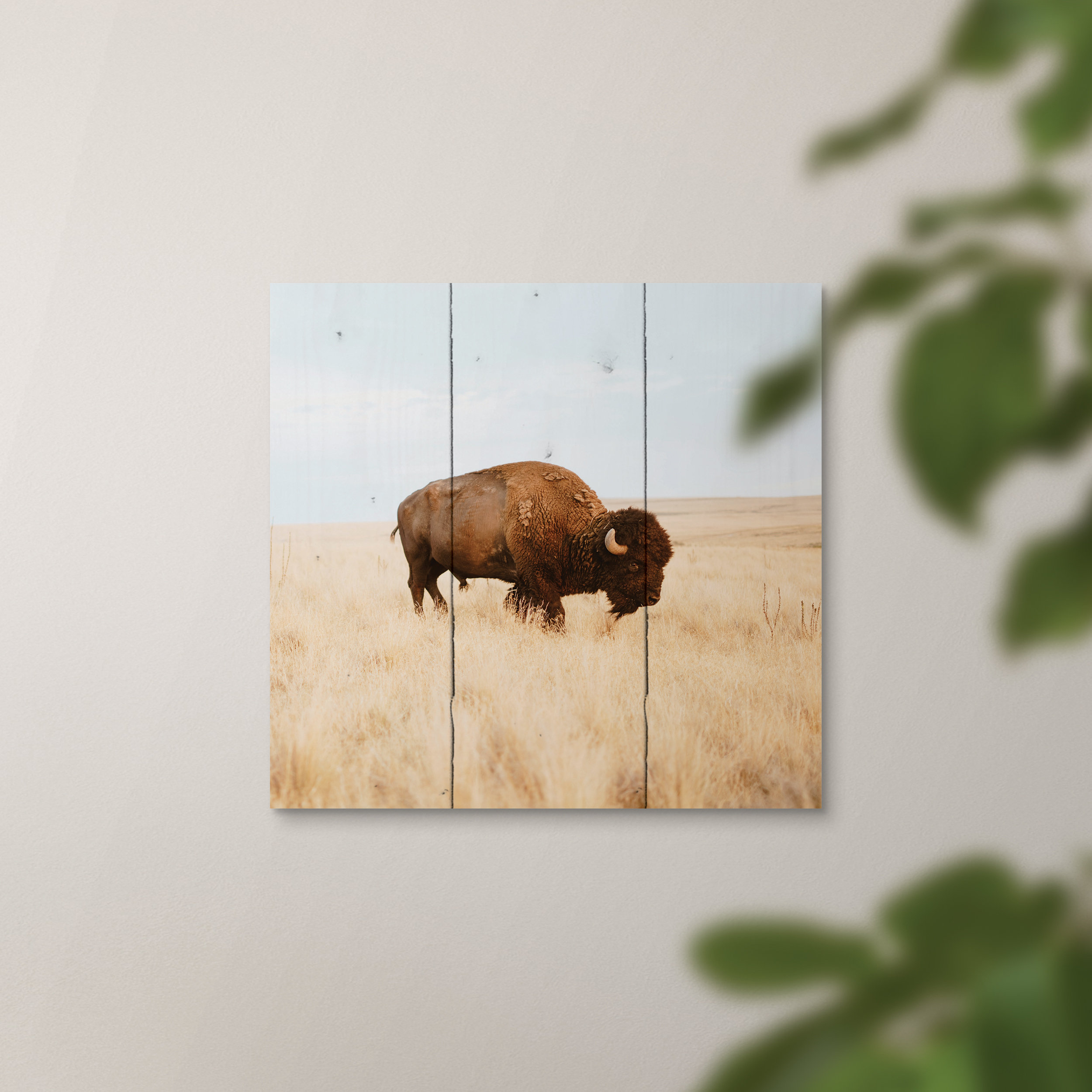 Union Rustic Buffalo Pallet Decor - Wayfair Canada