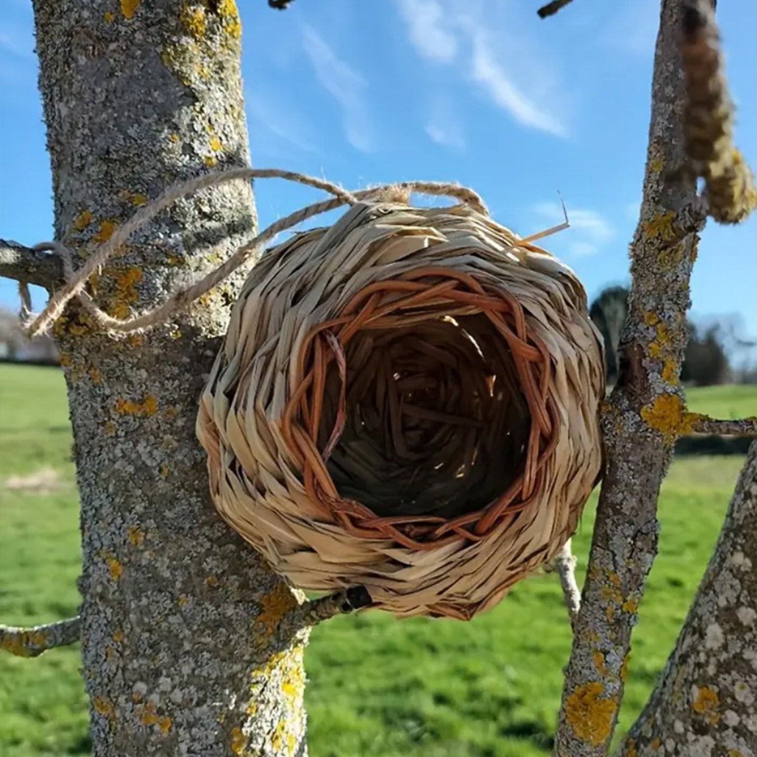 Gracie Oaks SET OF 3 Hanging Hummingbird Nest House for Outside Hand ...