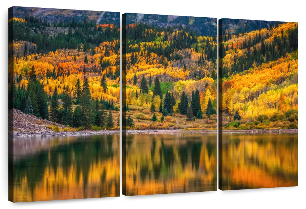 Millwood Pines Alvord Fall Aspen Trees In Maroon Bells - Wayfair Canada
