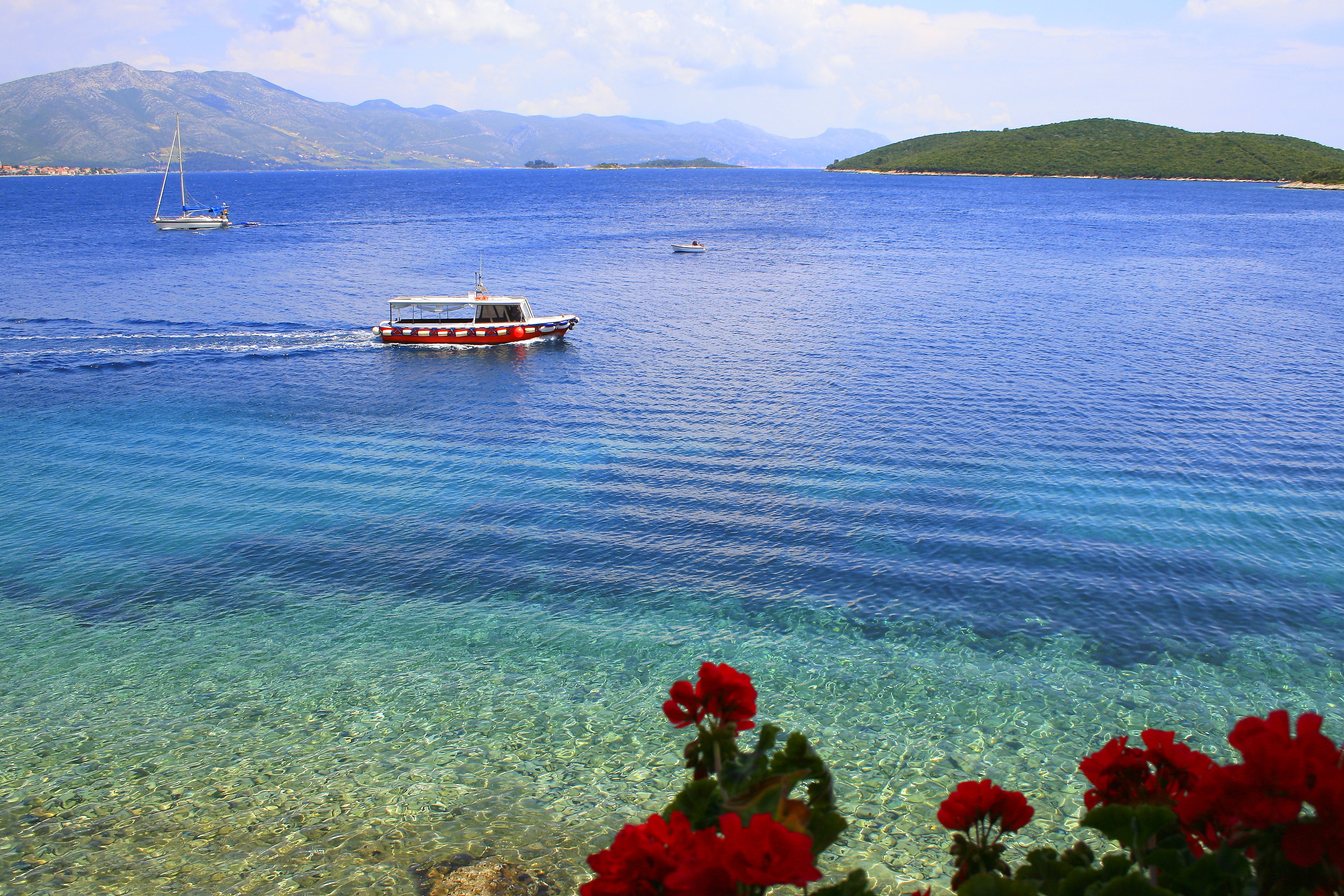 Breakwater Bay Ship Crossing and Yacht Sailing by Agustavop | Wayfair