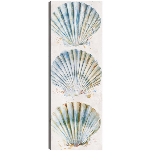 Highland Dunes Shell Panel I By Studio Arts Canvas Art Print | Wayfair