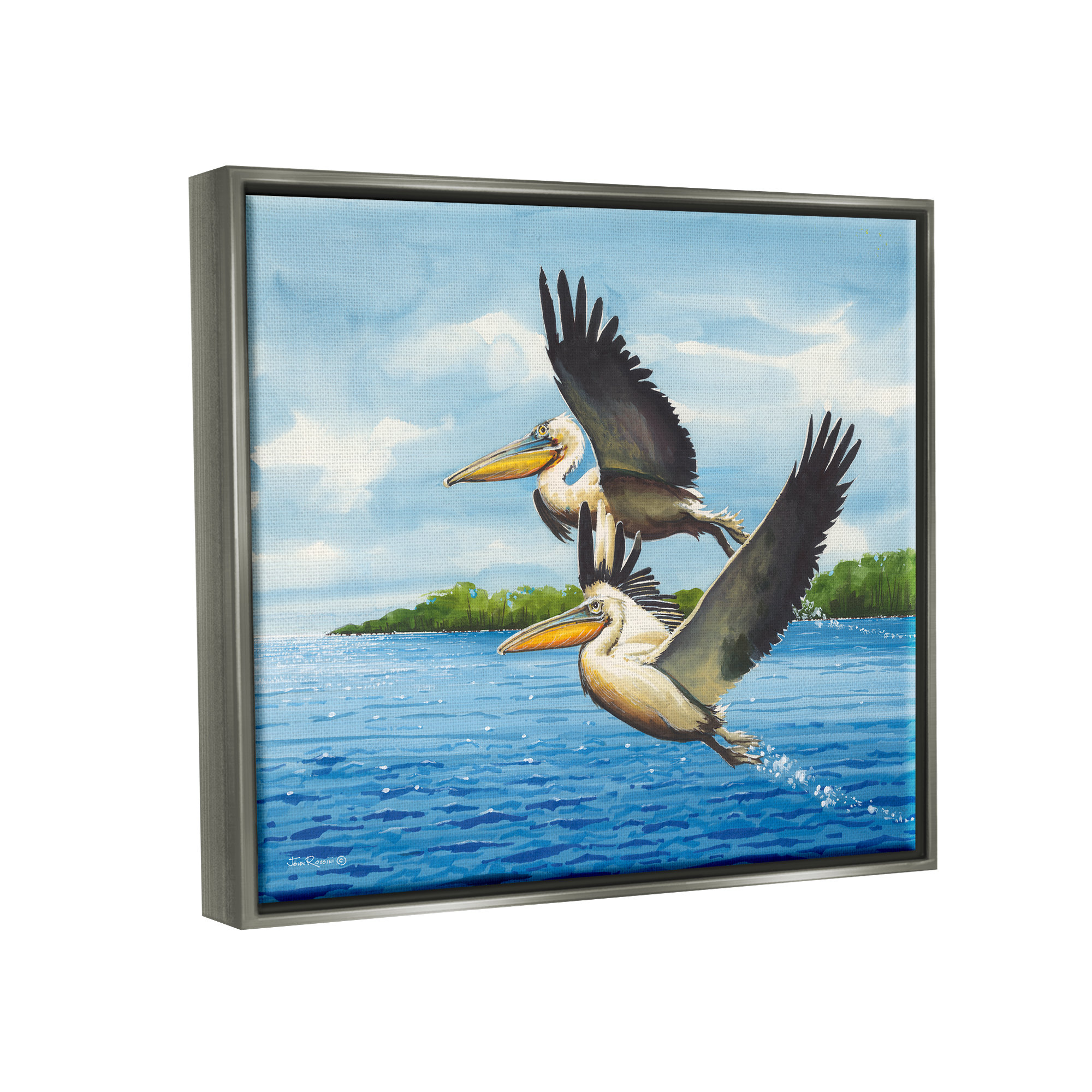 Dovecove Splashing Pelicans Flying Framed Floater Canvas Wall Art ...