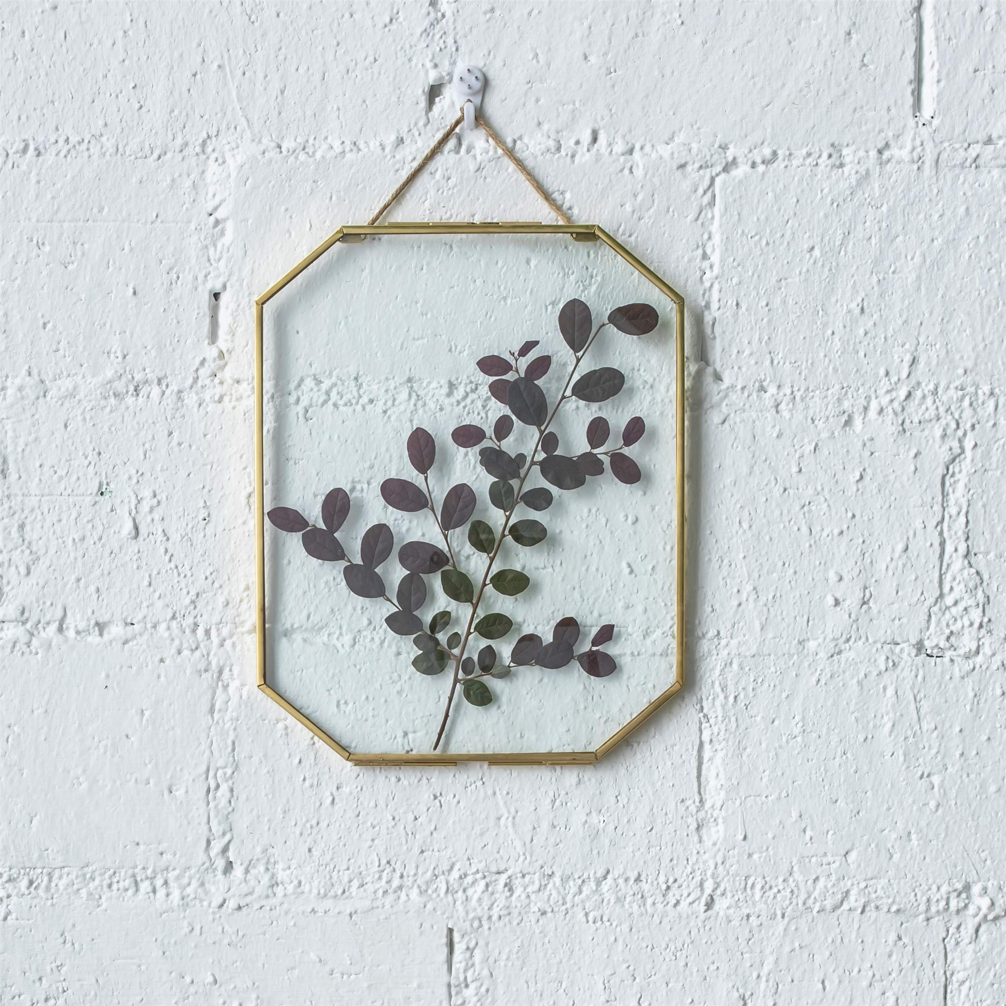 Everly Quinn Double Glass Floating Frame For Pressed Dried Flowers ...