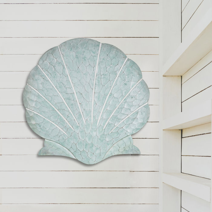 Highland Dunes Scallop Shell Wall Décor & Reviews | Wayfair