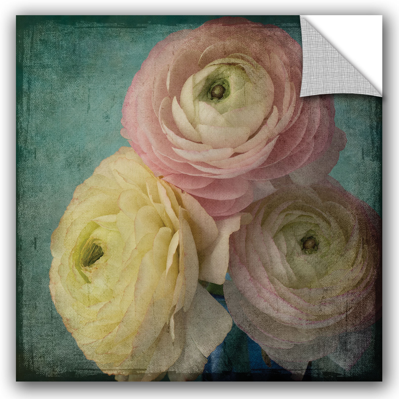 Lark Manor™ Akeema Pink Ranunculus 5 Removable Wall Decal - Wayfair Canada