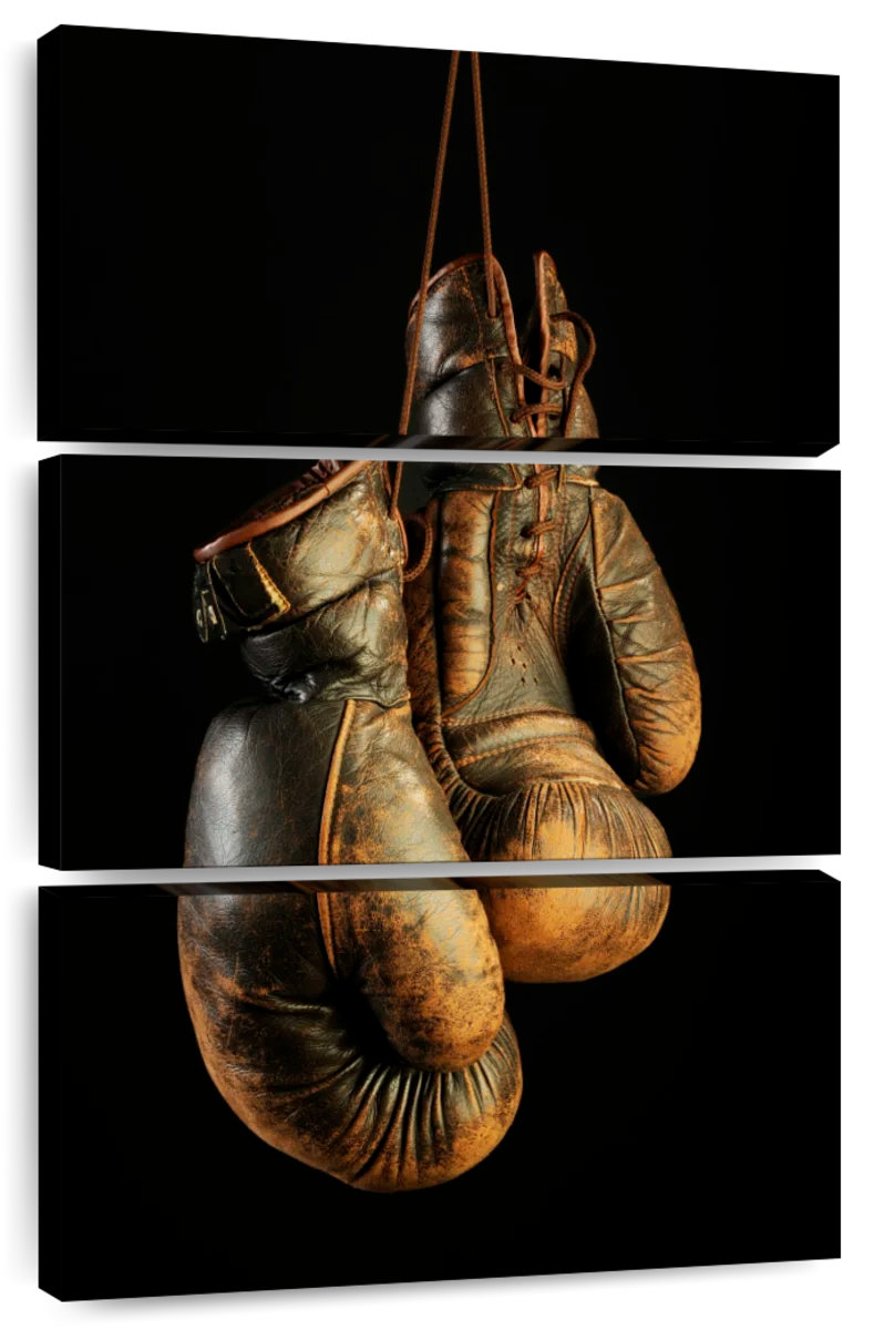 Elephant Stock Beaten Boxing Gloves - Wayfair Canada