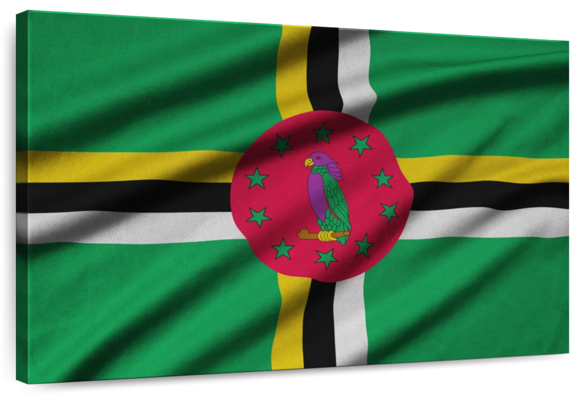 Ebern Designs Borges Sports Cloth Dominica Flag | Wayfair