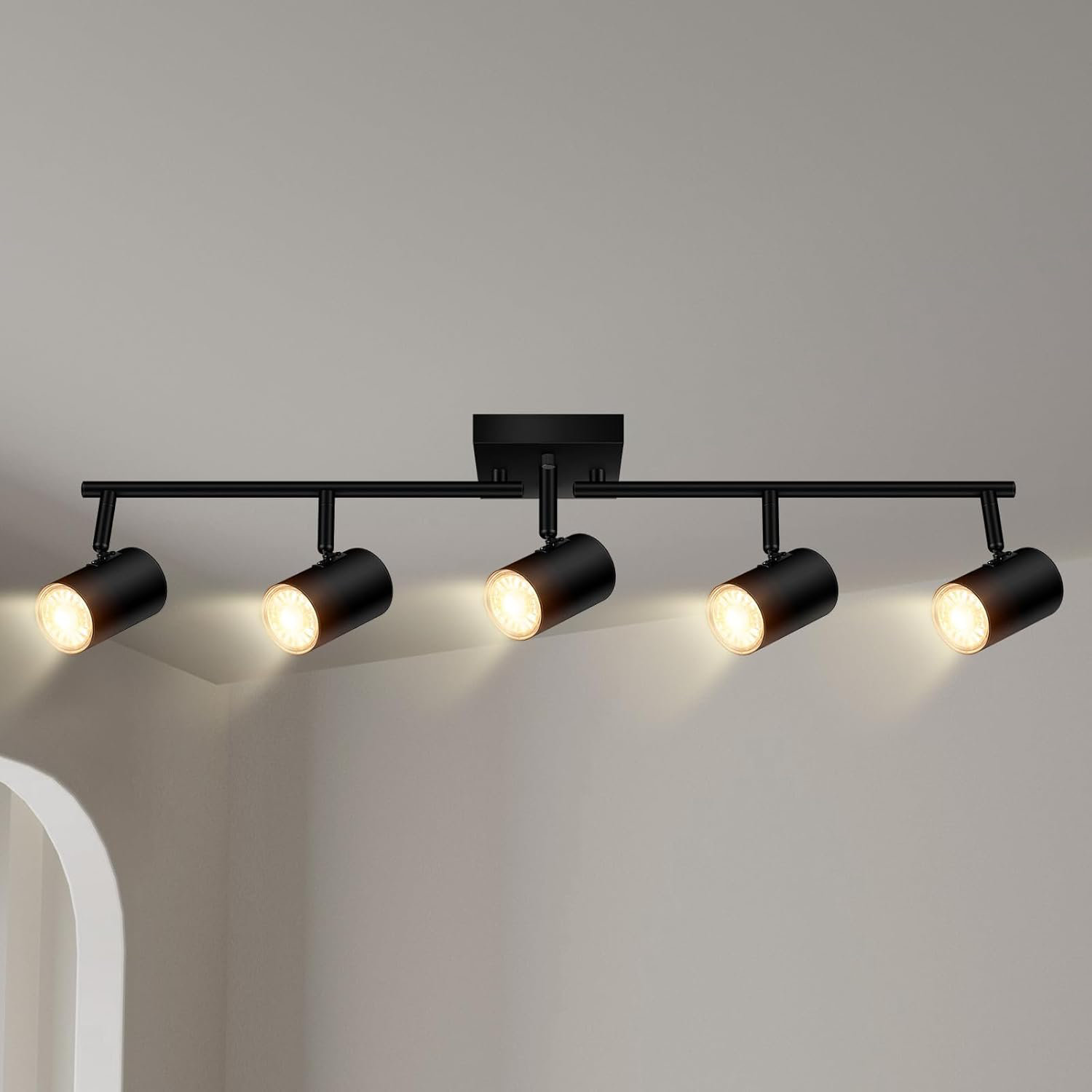 doitbest Track Lighting Fixtures Ceiling - Wayfair Canada