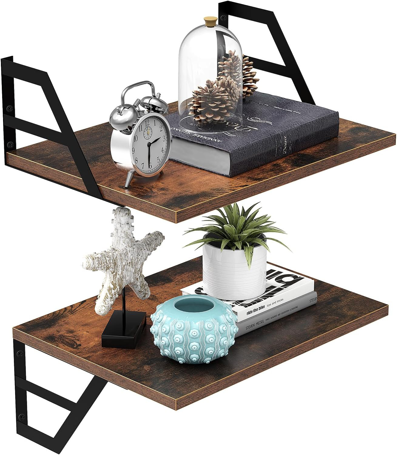 Latitude Run® Wall Mounted Book Shelf | Wayfair
