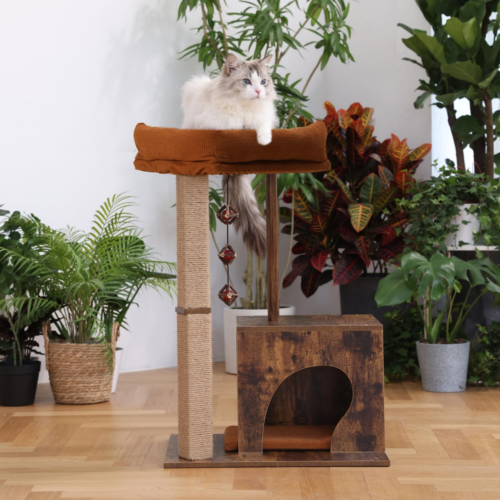 Tucker Murphy Pet™ Modern Square Cat Tower With Silvervine Toys ...