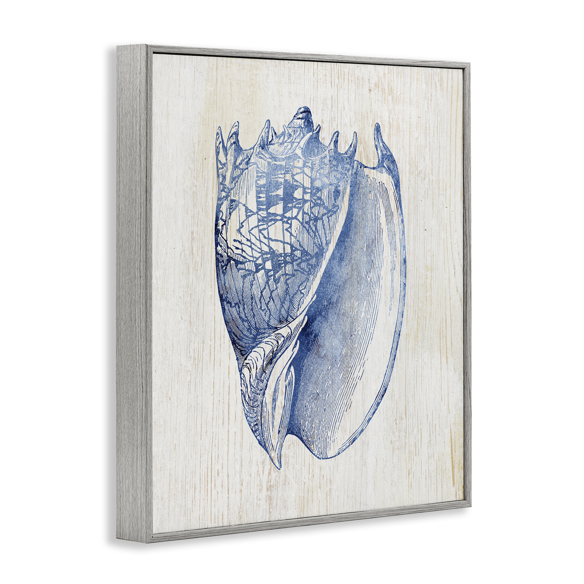 Breakwater Bay Nautical Soft Blue Conch Framed Giclee, design by Susan ...