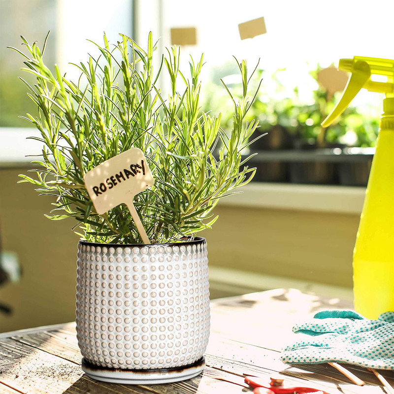 Latitude Run® 6 Inch Ceramic Beaded Stoneware Planter Pot - Flower Pot ...