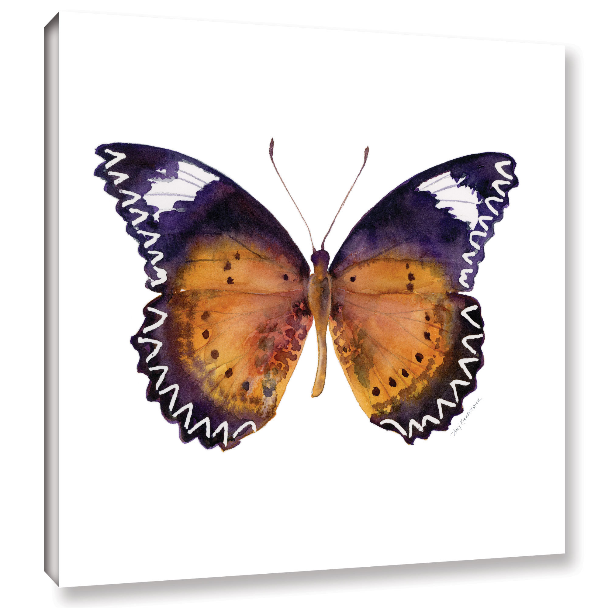 August Grove® 'Cethosia Cyane' Painting Print on Wrapped Canvas | Wayfair