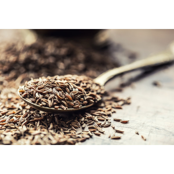 Latitude Run Caraway Seeds On Table - Wrapped Canvas Photograph ...