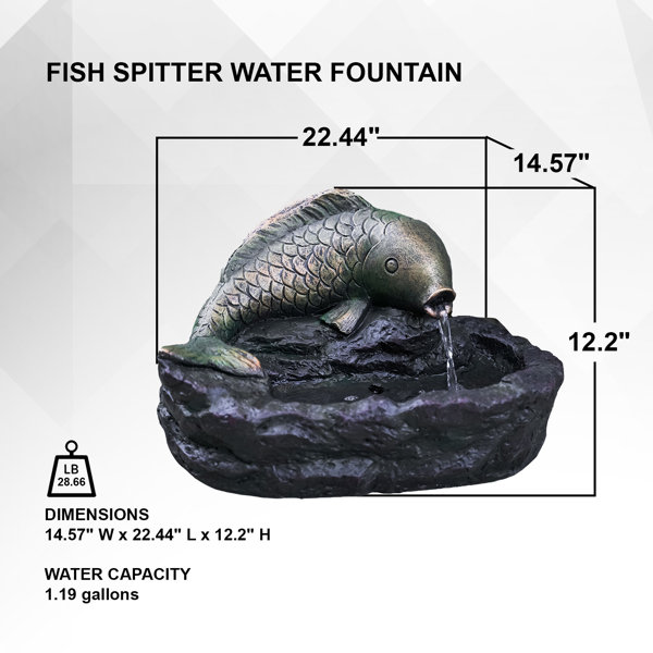 Highland Dunes Shanice 12" Outdoor Freestanding Fish Spitter Water ...