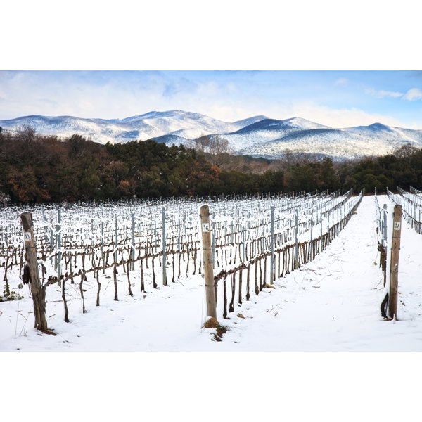 Alpen Home Vineyards Rows, Florence, Italy by StevanZZ - Wrapped Canvas ...