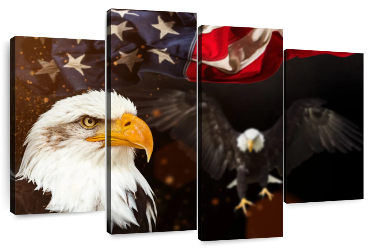 Ebern Designs Fierce Eagle American Flag - Wayfair Canada
