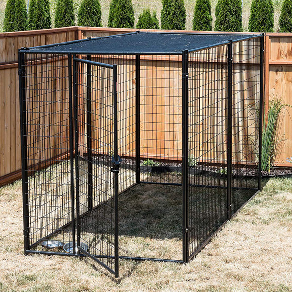 Lucky Dog Modular Steel Yard Kennel & Reviews | Wayfair