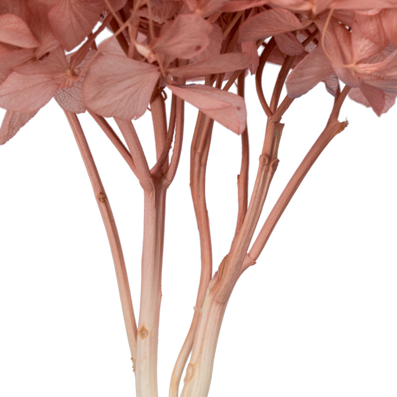 Primrue Natural Botanicals 15" Hydrangea with Multiple Branch Segments ...