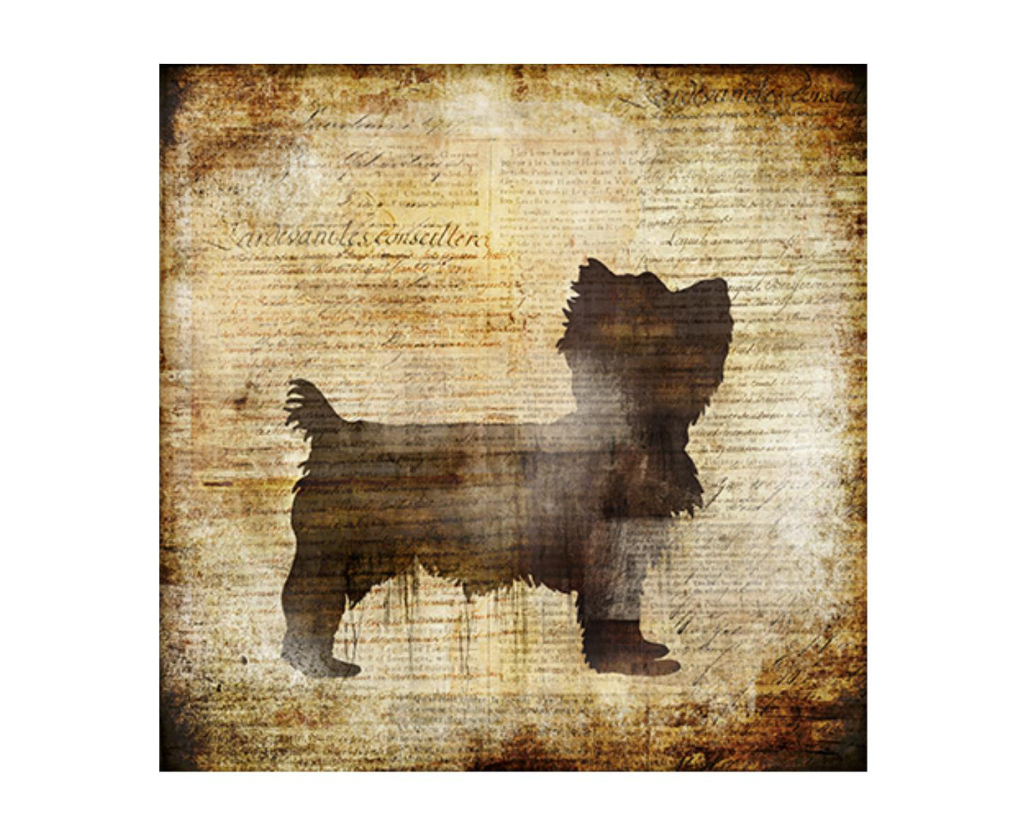 Chelsea Art Studio Terrier Lover by Sofia Fox - Graphic Art | Wayfair